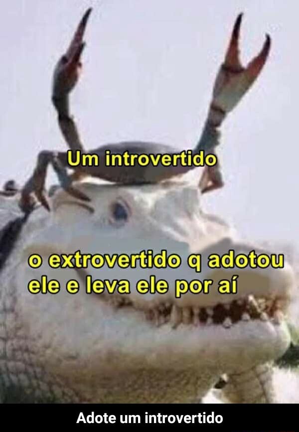 Um introvertido adotou Adote um introvertido - Adote um introvertido ...