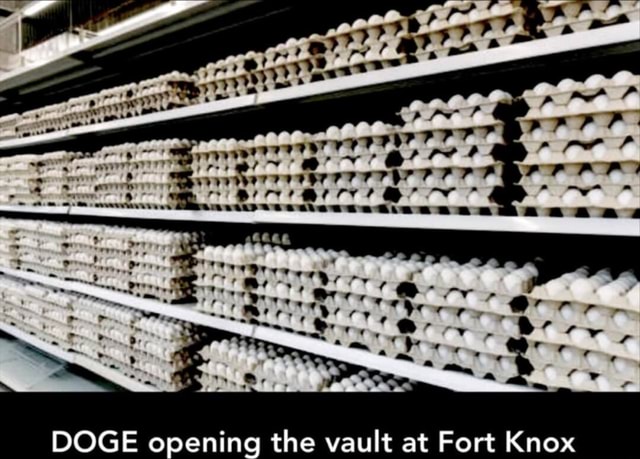 RAP re DOGE opening the vault at Fort Knox - America’s best pics and videos