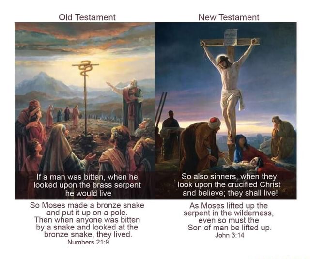 Old Testament Ifa man was bitten, when he looked upon the brass serpent ...
