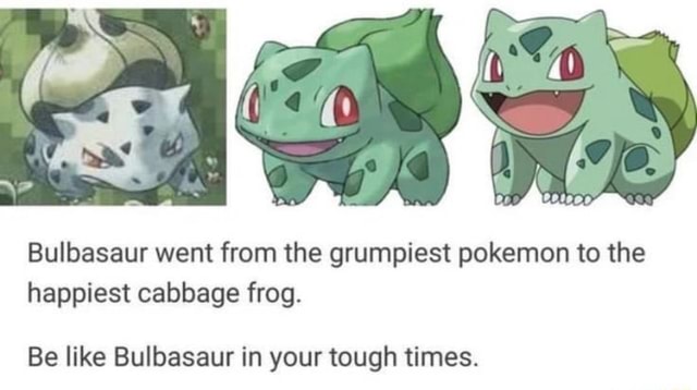 Bulbasaur went from the grumpiest pokemon to the happiest cabbage frog ...