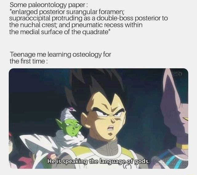 Some paleontology paper: "enlarged posterior surangular foramen ...