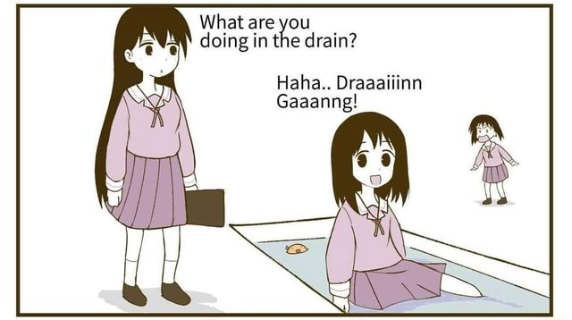 What are you doing in the drain? Haha.. Draaaiiinn Gaaanng! - iFunny