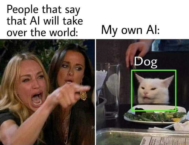 People that say that AI will take over the world: My OWI'I AI: - iFunny