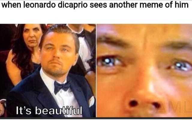 When leonardo dicaprio sees another meme of him It's beauiuftll - iFunny