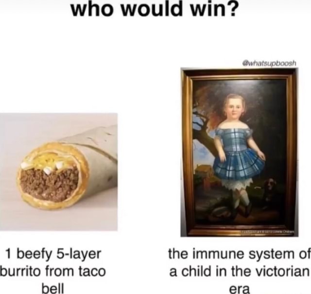 Who would win? 1 beefy 5-layer the immune system of burrito from taco a ...