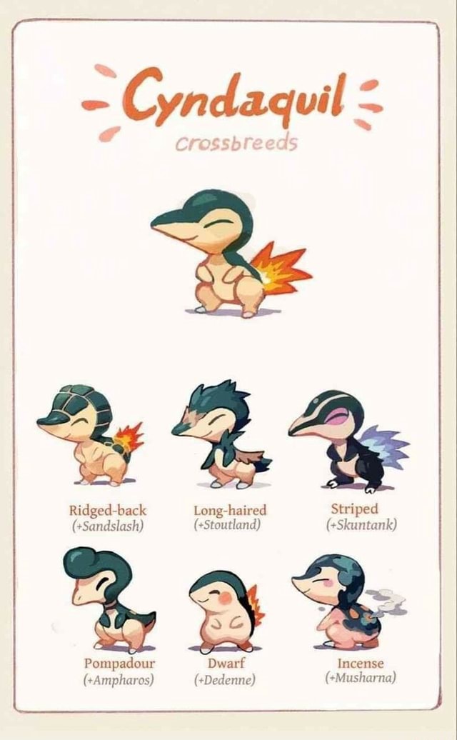 Cyndaquil Ridged back Long haired Striped (+Sandslash) (+Stoutland ...