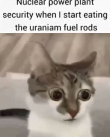 Security when I start eating the uraniam fuel rods - iFunny