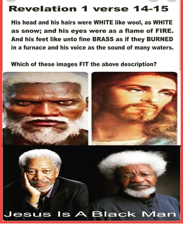 Revelation 1 verse 14-15 His head and his hairs were WHITE like wool ...