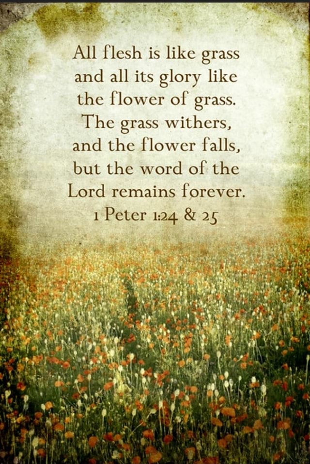 All flesh is like grass and all its glory like the flower of grass. The ...