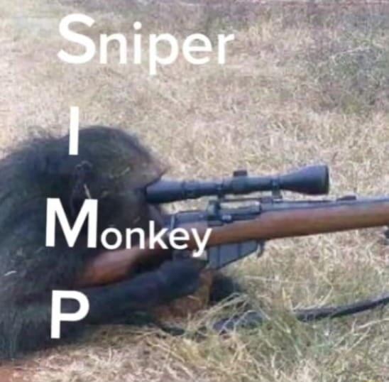 Sniper Monkey - iFunny