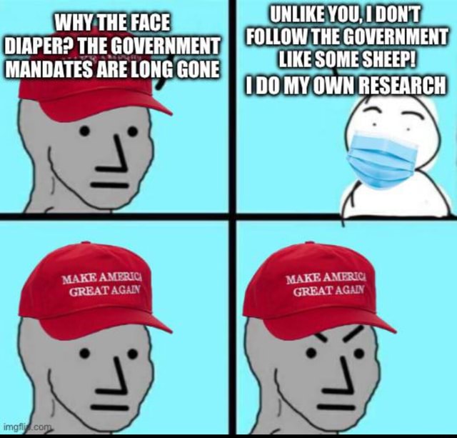 WHY THE FACE UNLIKE YOU. DONT, DIAPER? THE GOVERNMENT FOLLOW THE ...