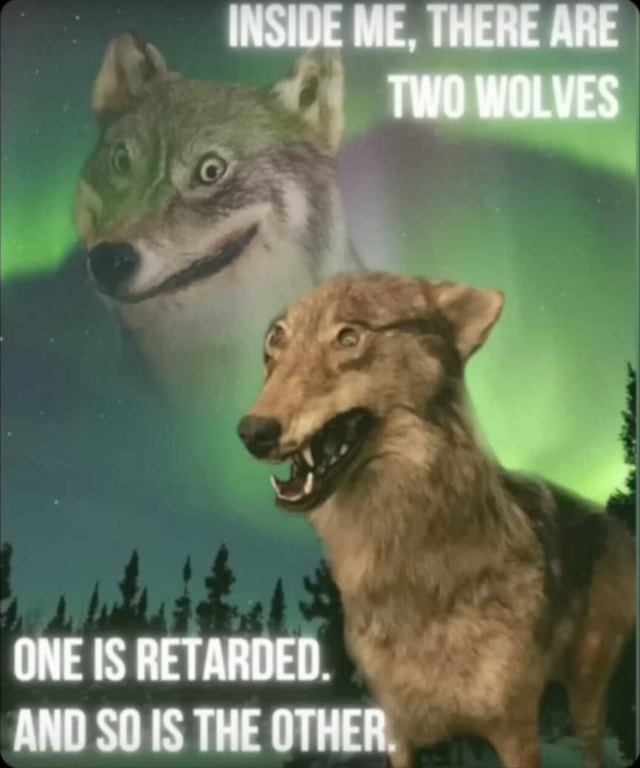 TWO WOLVES ONE Is RETARDED ARIN CNIS TUC ATUER - iFunny