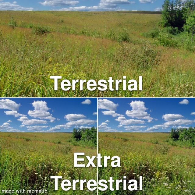 Terrestrial with Extra Terrestrial - iFunny