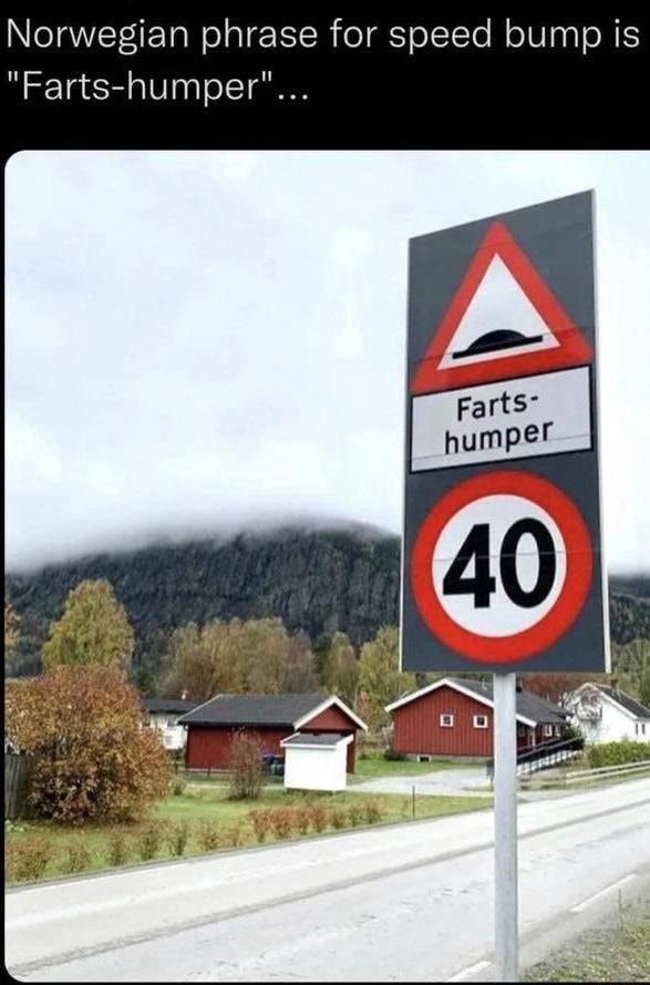 Norwegian phrase for speed bump is "Farts-humper"... - iFunny