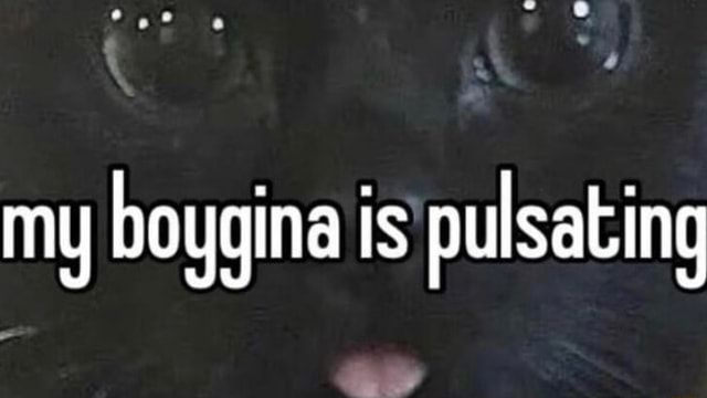 My boygina is pulsating - iFunny