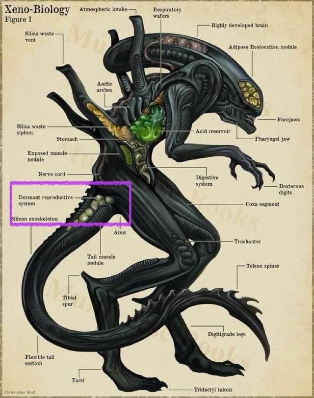 Xeno-Biology stmospneri imaxe- _Respirator Figure I Silica waste I vent ...