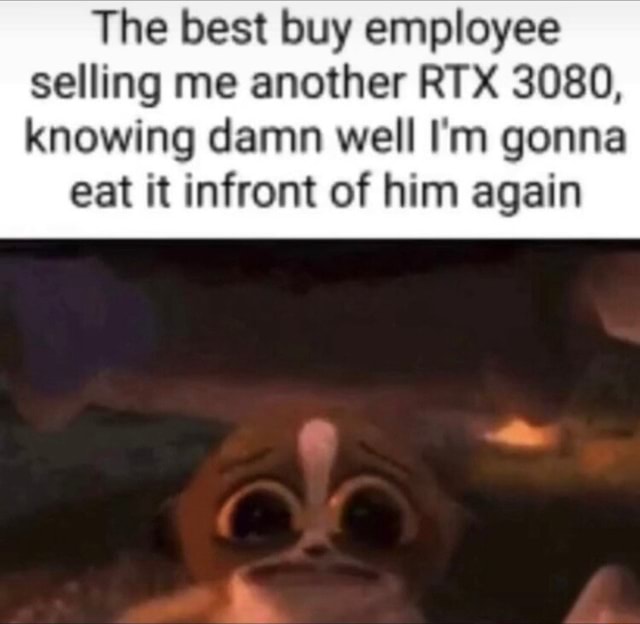 The best buy employee selling me another RTX 3080, knowing damn well I'm gonna eat it infront of ...