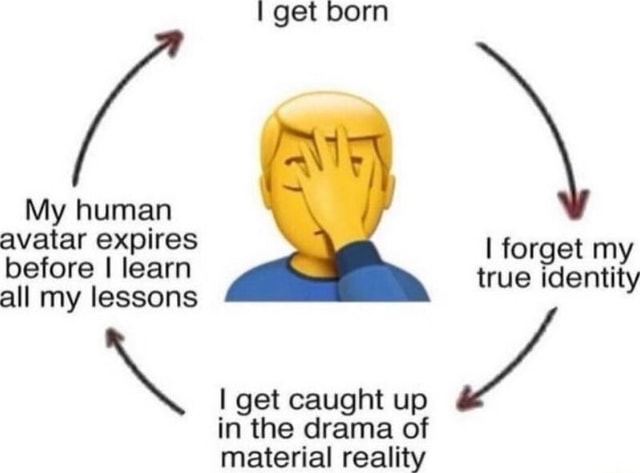 My human get born avatar expires I I forget my before learn true ...
