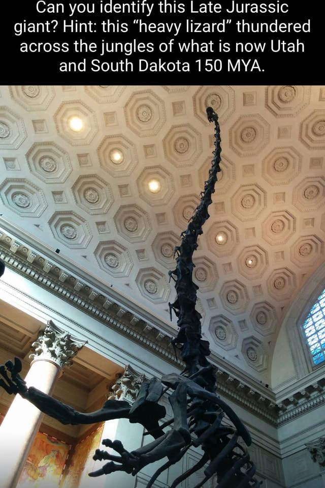 Can you identity this Late Jurassic giant? Hint: this "heavy lizard ...