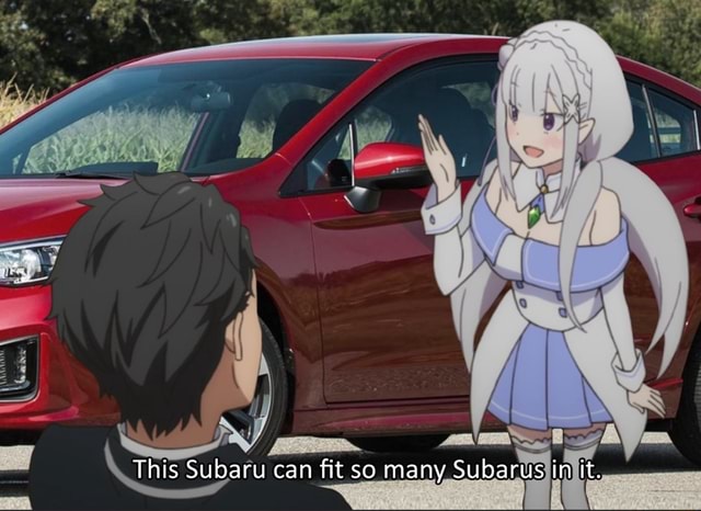 This Subaru can fit so many Subarus in it. - iFunny