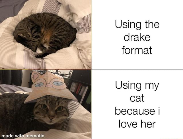 Using the drake format Using my cat because I love her - iFunny