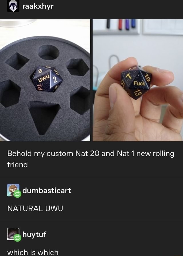 Raakxhyr Behold my custom Nat 20 and Nat 1 new rolling friend ...
