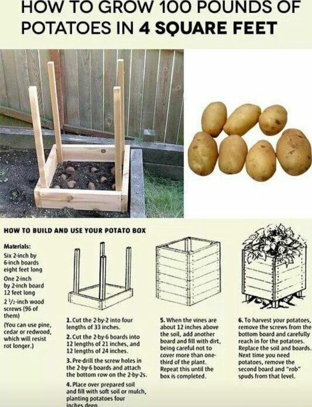 HOW TO GROW 100 POUNDS OF POTATOES IN 4 SQUARE FEET Materials: Six 2 ...
