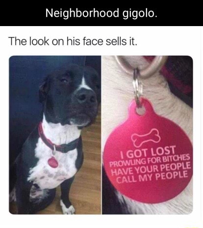 Neighborhood gigolo. The look on his face sells it. HAVE YOUR PEOPLE ...