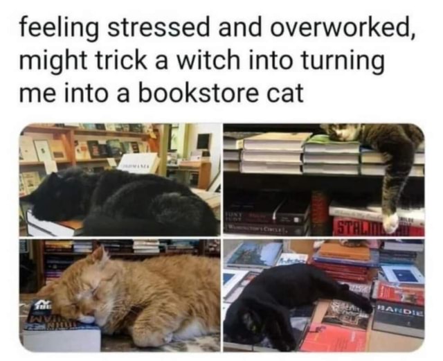 Feeling stressed and overworked, might trick a witch into turning me ...