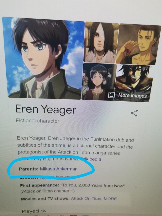 More images Eren Yeager Fictional character Eren Yeager, Eren Jaeger in ...