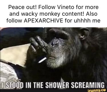 Peace out! Follow Vineto for more and wacky monkey content! Also follow ...