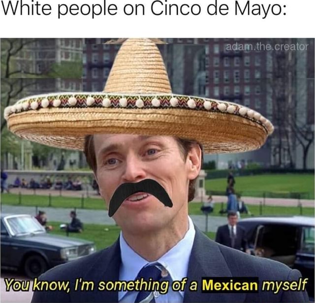 People on Cinco de Mayo: I'm of Mexican myself - iFunny