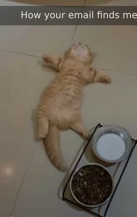 How your email finds me - iFunny