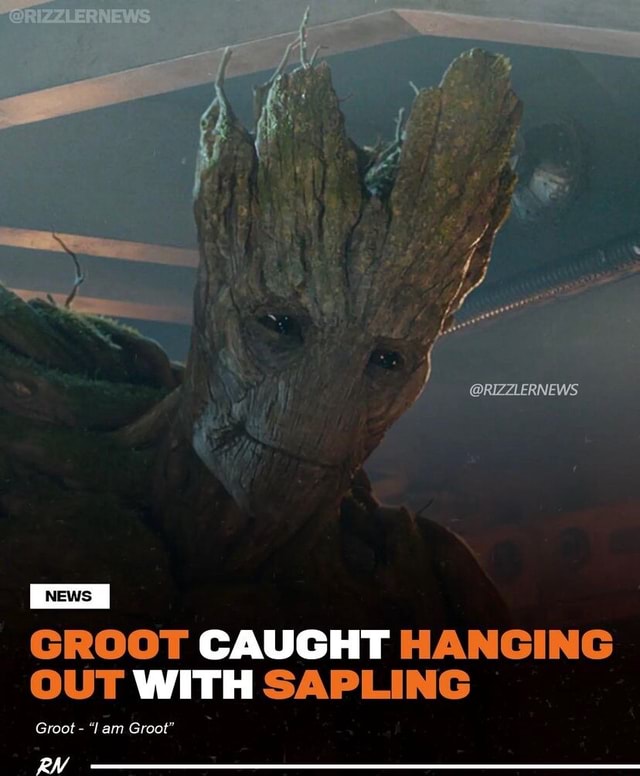 GROOT CAUGHT HANGING OUT WITH SAPLING Groot - "Il am Groot" RN - iFunny