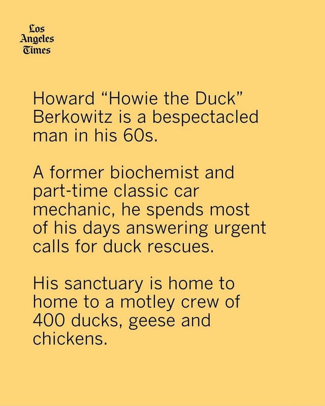 The nonprofit Duck Pond, also known as the Duck Sanctuary, is located ...