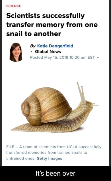 Science Scientists successfully transfer memory from one snail to ...