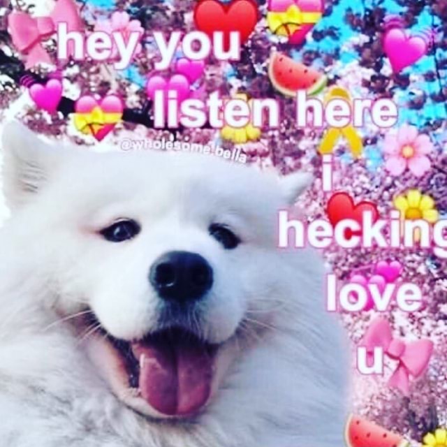"hey you "listen here hecking love - WHLSM