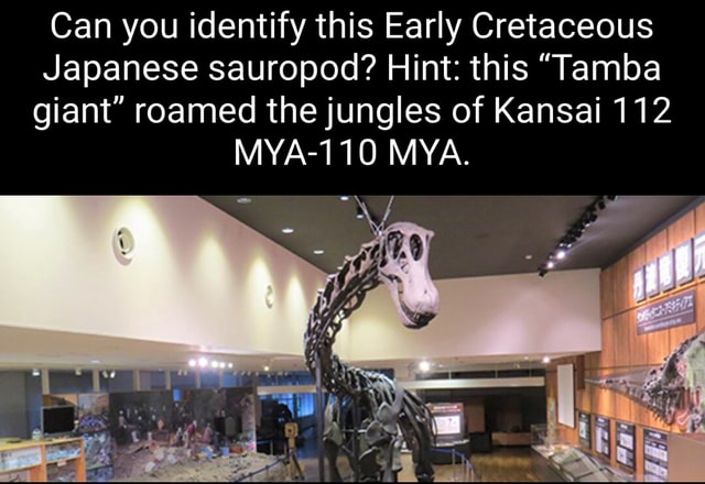 Can you identify this Early Cretaceous Japanese sauropod? Hint: this ...