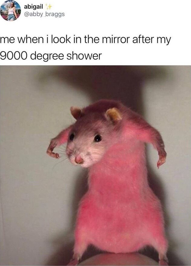 Abigail @abby braggs me when i look in the mirror after my 9000 degree ...