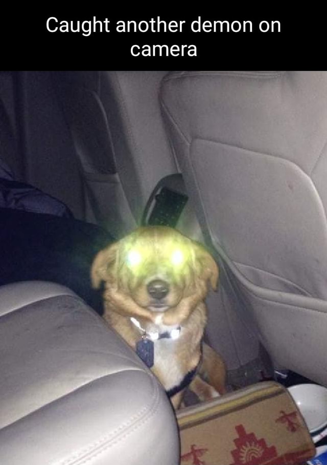 Caught another demon on camera - iFunny Brazil