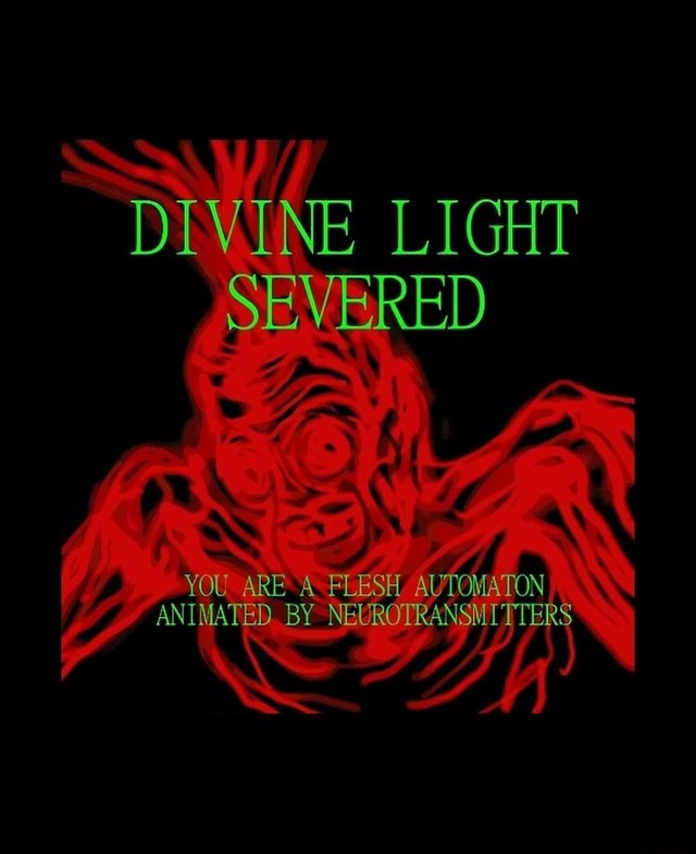 DIVINE LIGHT SEVERED U_ ARE A FLESH, AUTOMATON ANIMATED BY ...