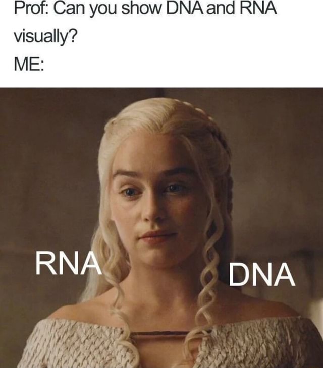 Prof: Can you show DNA and RNA visually? ME: RNA DNA - seo.title