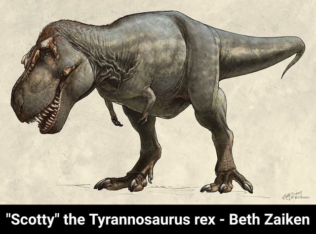 "Scotty" the Tyrannosaurus rex - Beth Zaiken - "Scotty" the ...