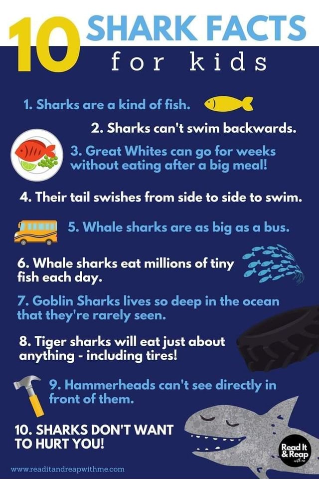 SHARK FACTS for kids 1. Sharks are a kind of fish. 2. Sharks can't swim ...