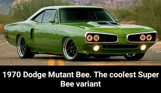 1970 Dodge Mutant Bee. The coolest Super Bee variant - 1970 Dodge ...