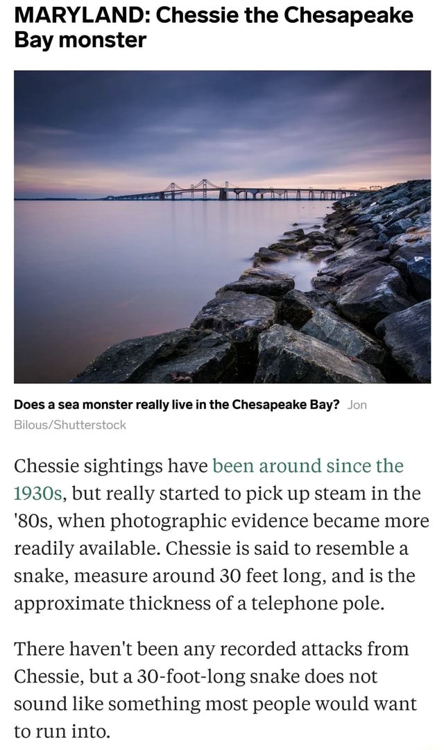 MARYLAND: Chessie the Chesapeake Bay monster Does a sea monster really ...