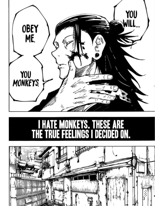 I HATE MONKEYS. THESE ARE THE TRUE FEELINGS I DECIDED ON. - iFunny
