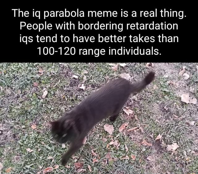 The iq parabola meme is a real thing. People with bordering retardation ...