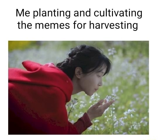 Me planting and cultivating the memes for harvesting - iFunny