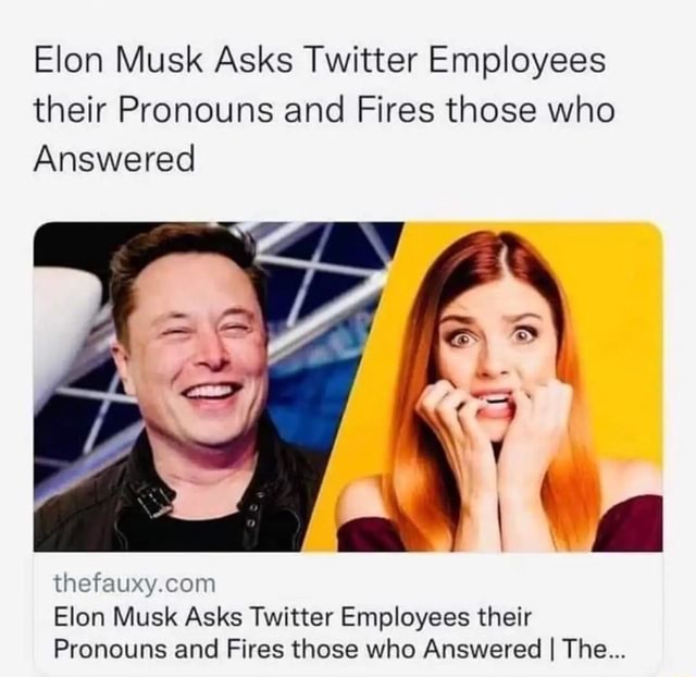Elon Musk Asks Twitter Employees their Pronouns and Fires those who ...